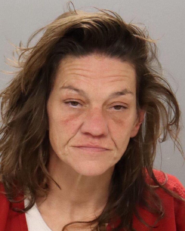 Recent Arrests in Knoxville, Tennessee - TriStar Daily