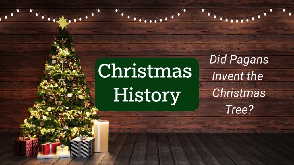 Was the Christmas Tree Started by Pagans? A Closer Look Into the Legend ...